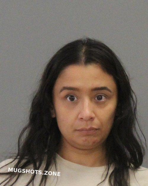 CASTILLO EVA 08/22/2023 - Brazos County Mugshots Zone