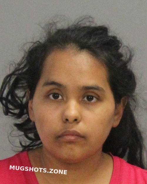 RAMIREZ ERICA 09/04/2023 - Brazos County Mugshots Zone