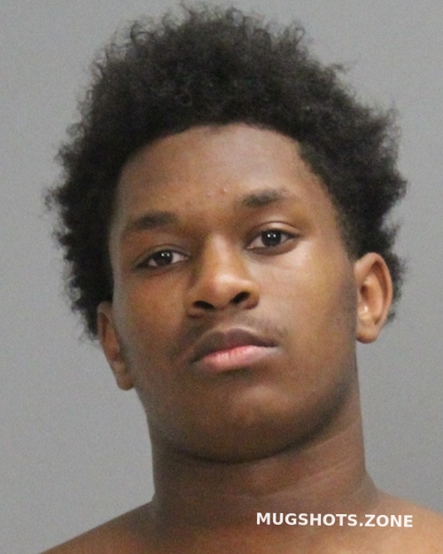 FORD BRION DEMETRIUS 11/04/2023 - Brazos County Mugshots Zone
