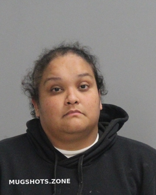 Rios Sheila Marie 11 15 2023 Brazos County Mugshots Zone