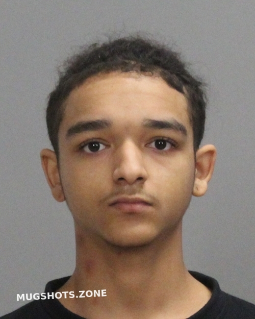 WILLIAMS WESLEY BRIAN JR. 11/24/2023 - Brazos County Mugshots Zone