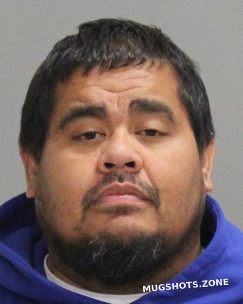 HERRY CARPEL DASUO 11/29/2023 - Brazos County Mugshots Zone