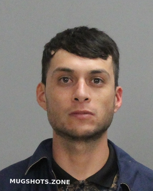 Laura Jorge 12 08 2023 Brazos County Mugshots Zone