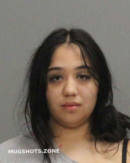 REYES ALAYNEE 12/10/2023 - Brazos County Mugshots Zone