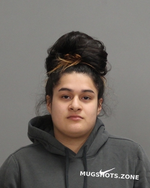 TORRES-PEREZ YESENIA 12/19/2023 - Brazos County Mugshots Zone