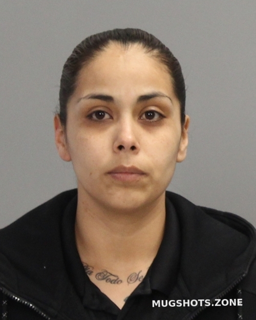 MARTINEZ-TORRES ANNABEL 12/30/2023 - Brazos County Mugshots Zone