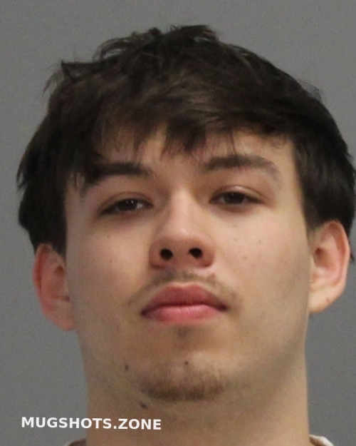 PRINCE DEVIN WAYNE 01/01/2024 - Brazos County Mugshots Zone