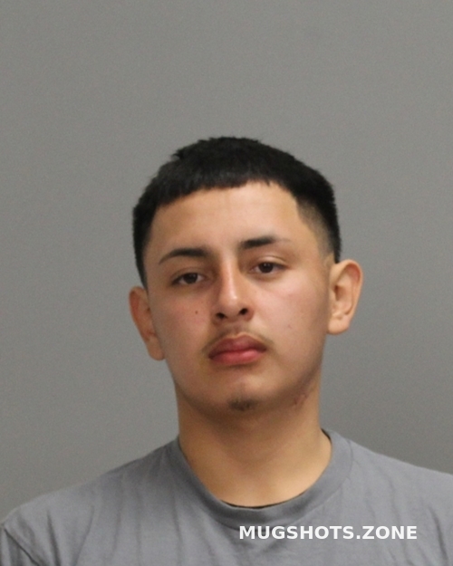 RUBIO ALDAIR 01/12/2024 - Brazos County Mugshots Zone