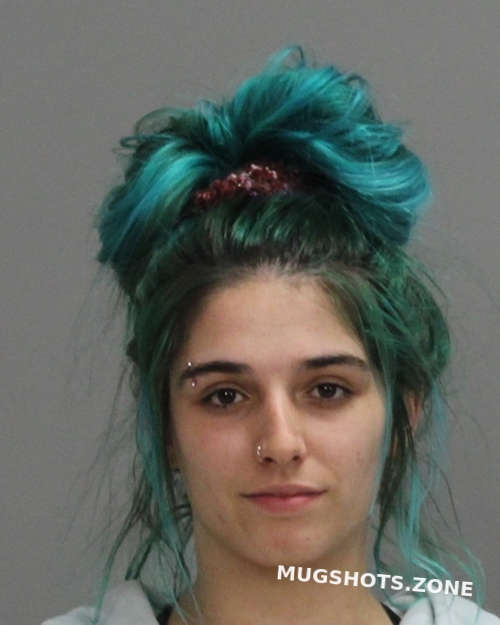 SCHULTZ KRISTON ANN 01/16/2024 - Brazos County Mugshots Zone