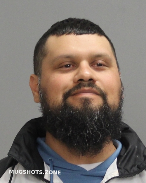 CASTILLO EDGAR 01/20/2024 - Brazos County Mugshots Zone