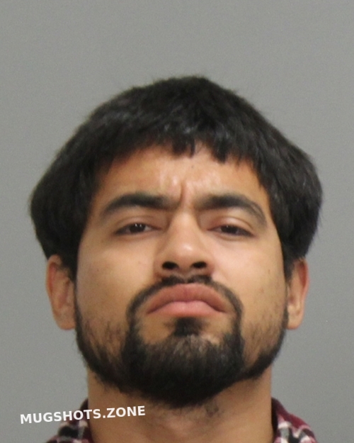 Villa Armando Ismael 02 16 2024 Brazos County Mugshots Zone
