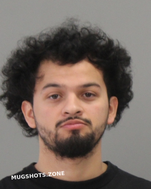 Sumaya Francisco 03 02 2024 Brazos County Mugshots Zone