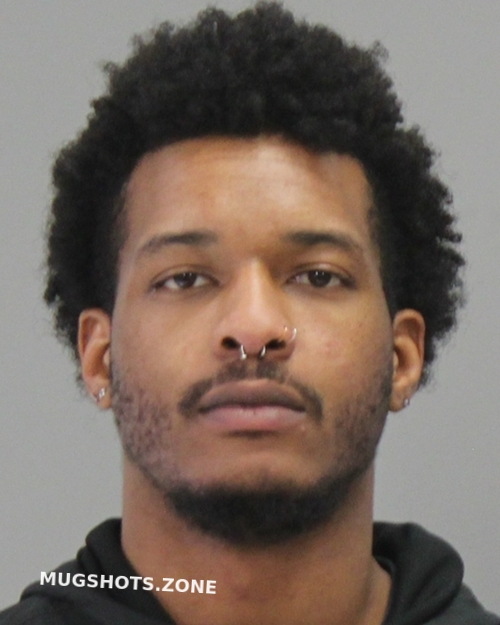 HAMM AKIL ANTONIO 03/02/2024 - Brazos County Mugshots Zone