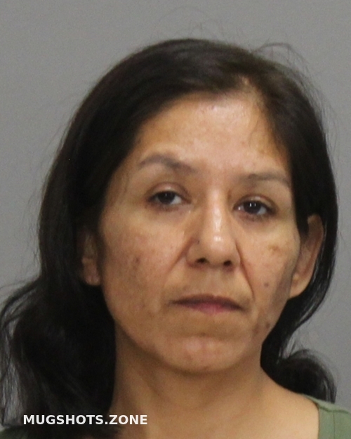 SALCIDO SUSAN 03/08/2024 - Brazos County Mugshots Zone