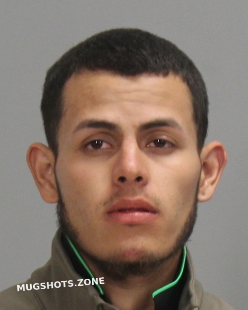 TELLEZ-GRANADOS RICHEE 03/10/2024 - Brazos County Mugshots Zone