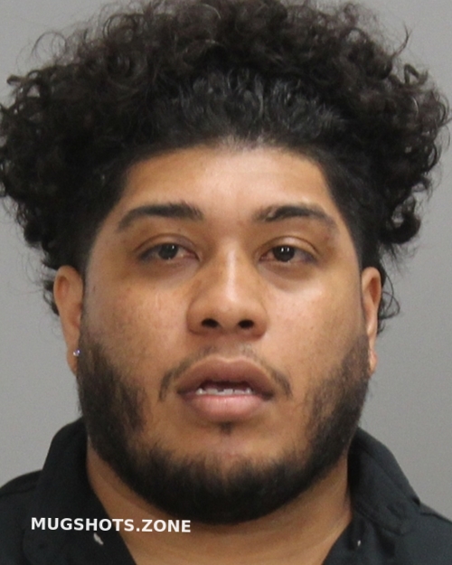 REYES MANUEL ALEJANDRO 03/22/2024 - Brazos County Mugshots Zone