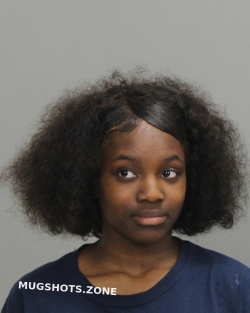 CLARK PARIS DANYELLE 03/30/2024 - Brazos County Mugshots Zone