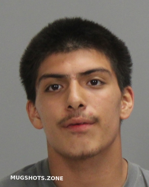 Amaya Paul 04 01 2024 Brazos County Mugshots Zone