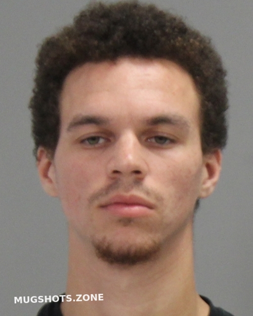 HODGE NOLAN ANTHONY 04/01/2024 - Brazos County Mugshots Zone