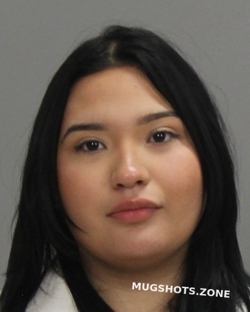 SANTOS LIZZIE VIRGINIA 04/05/2024 - Brazos County Mugshots Zone