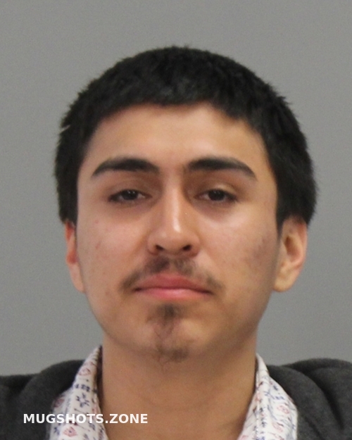 LOPEZ ALEXANDER 04/06/2024 - Brazos County Mugshots Zone