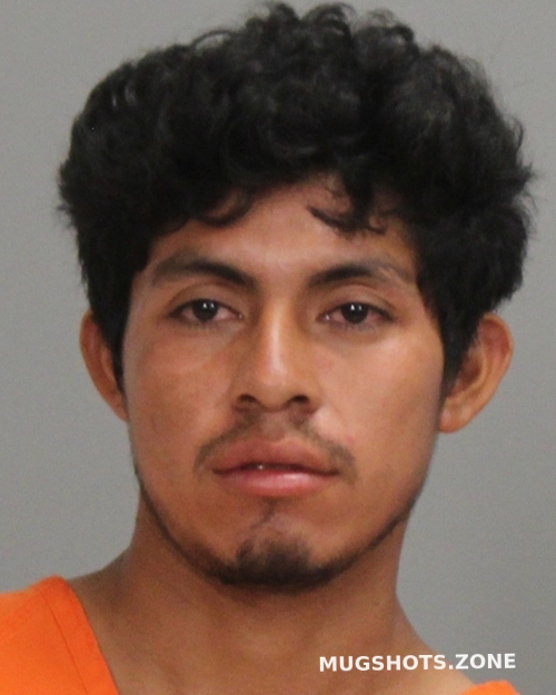 RODRIGUEZ LOPEZ EDIN 04/07/2024 - Brazos County Mugshots Zone