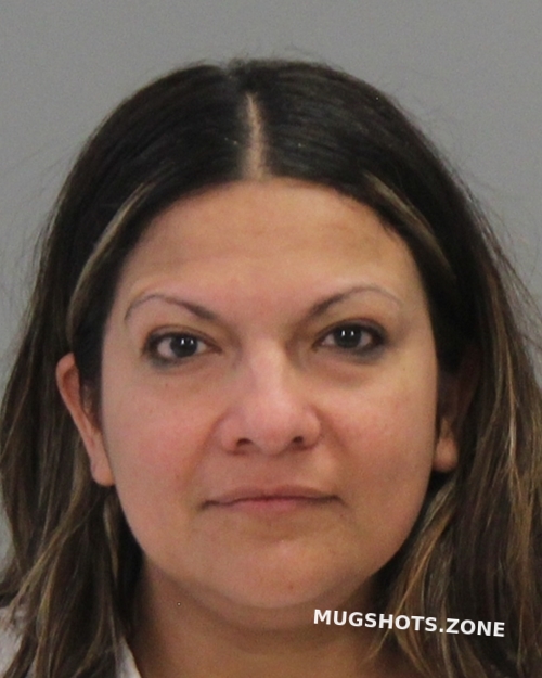 CASTILLO AMANDA 04/14/2024 - Brazos County Mugshots Zone