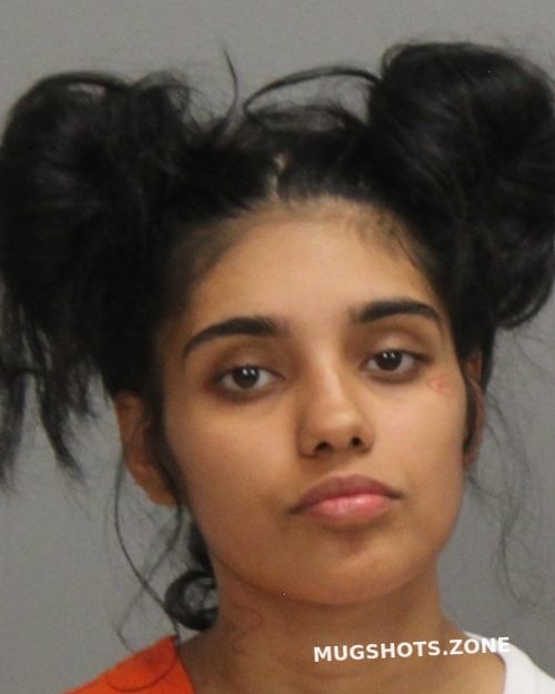GALINDO DESTINY NICOLE 04/21/2024 - Brazos County Mugshots Zone