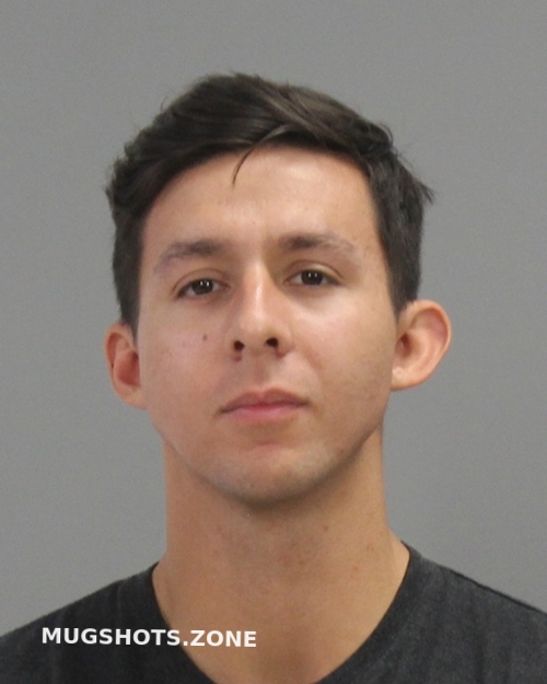 STOKES PATRICK RYAN 06/13/2024 - Brazos County Mugshots Zone