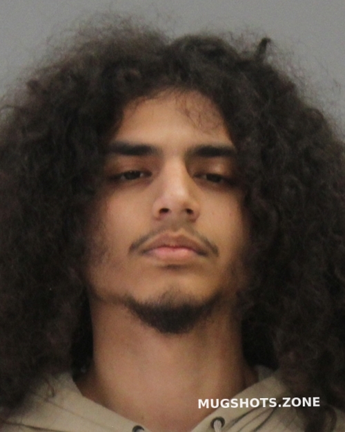 DELEON FERNANDO JR. 06/28/2024 - Brazos County Mugshots Zone
