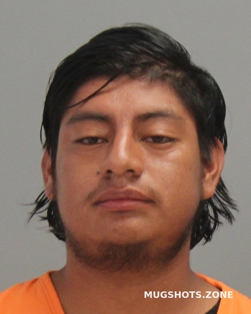GARCIA BRAYAN DARIO 06/30/2024 - Brazos County Mugshots Zone