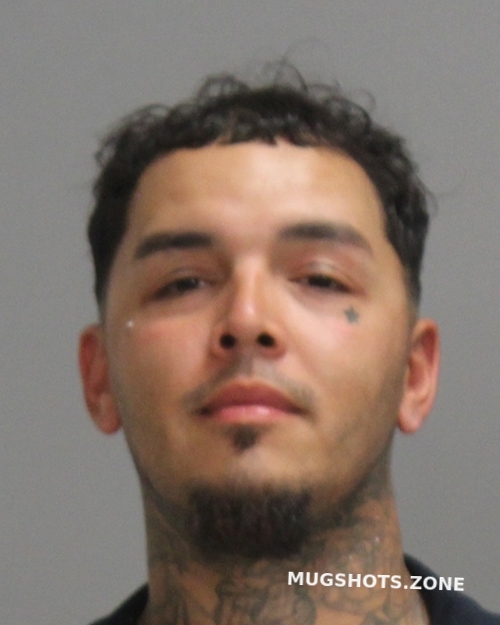 GOLDEN DYLAN JAMES 07/01/2024 - Brazos County Mugshots Zone