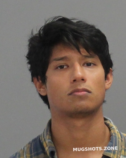 CARRILLO GIOVANNI 07/13/2024 - Brazos County Mugshots Zone