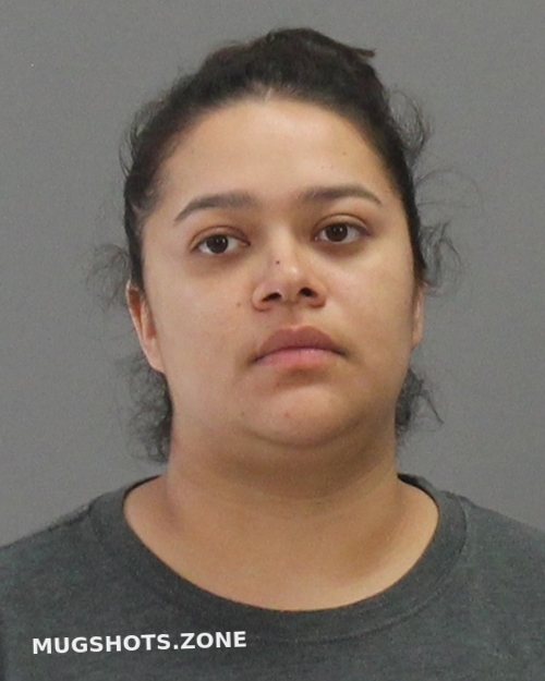 DIAZ DESTINY 07/16/2024 - Brazos County Mugshots Zone DIAZ DESTINY 07/16/2024 - Brazos County Mugshots Zone