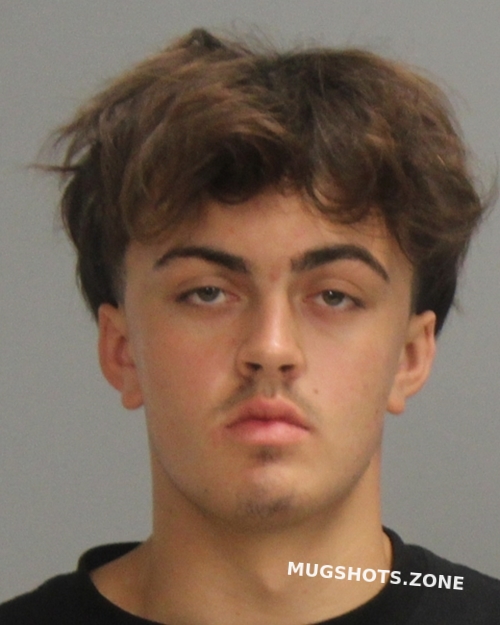 HINES JOSHUA THOMAS 08/13/2024 - Brazos County Mugshots Zone