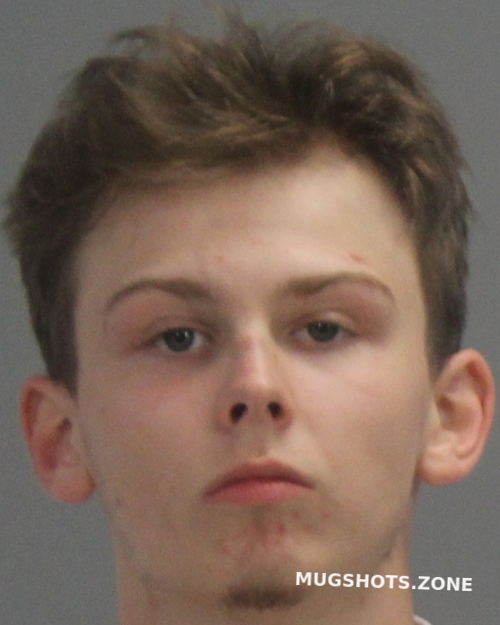 BOSS LANE CHRISTOPHER 08/18/2024 - Brazos County Mugshots Zone