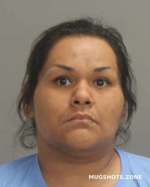 PANIAGUA AMANDA LOZANO 08/28/2024 - Brazos County Mugshots Zone