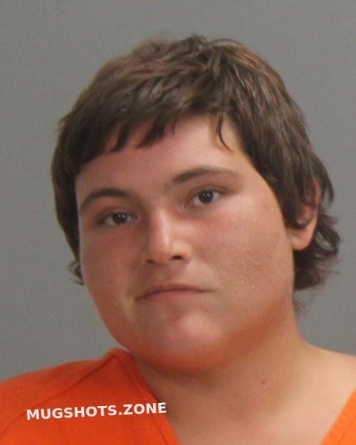 SUMRALL STEPHANIE ANN 08/29/2024 - Brazos County Mugshots Zone