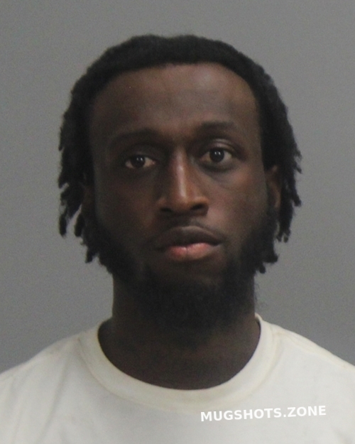 OMOREGBE ETINOSA OSAHON 08/30/2024 - Brazos County Mugshots Zone