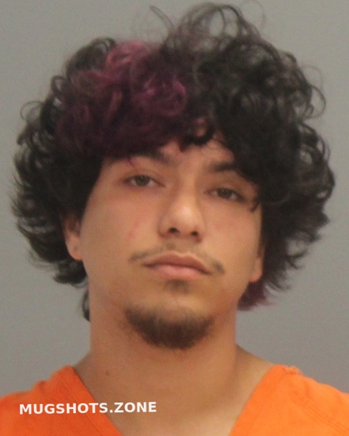 HENRIQUEZ KEVIN ALEXANDER 08/31/2024 - Brazos County Mugshots Zone