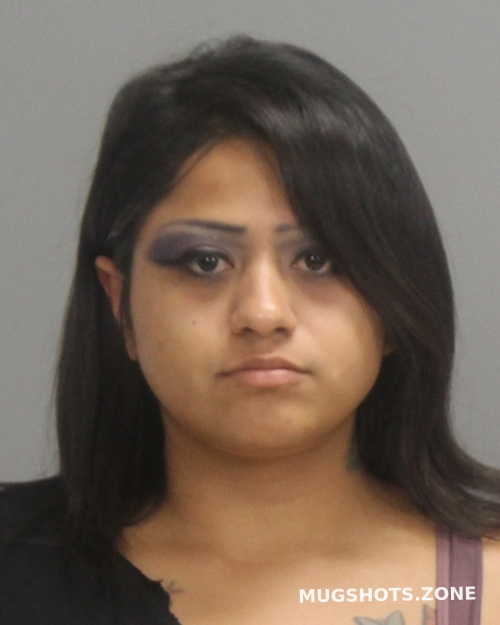 RIOS CHRISTINA ANN 09/04/2024 - Brazos County Mugshots Zone