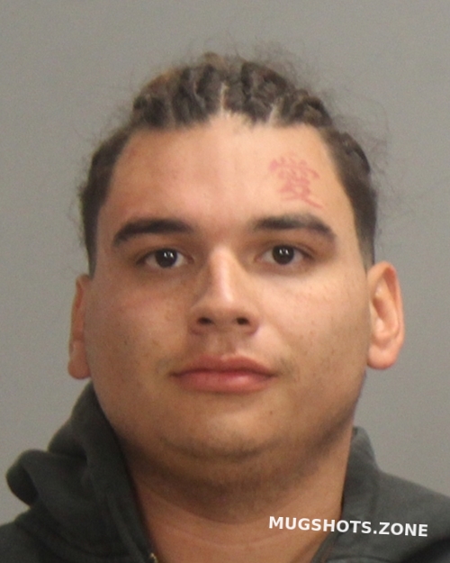 GONZALES SENOVIO JOE 09/09/2024 - Brazos County Mugshots Zone