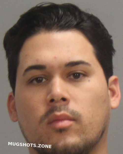 PORTILLO ARTHUR DANIEL 09/18/2024 - Brazos County Mugshots Zone