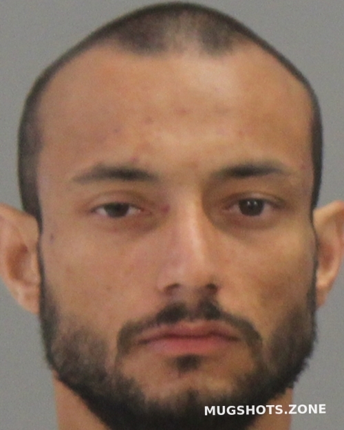 MORALES NICHOLAS ANGEL 09/23/2024 - Brazos County Mugshots Zone