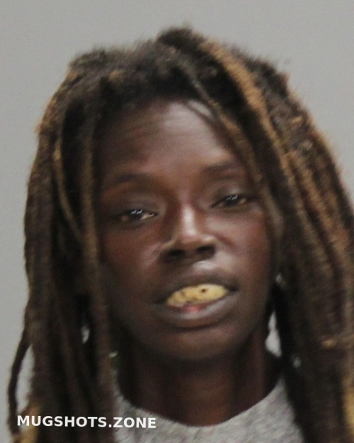 YOUNG LATASHA RENEE 10/06/2024 - Brazos County Mugshots Zone