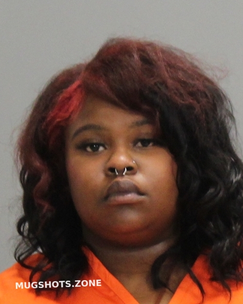LONG DEVON CHRISTINA 10/07/2024 - Brazos County Mugshots Zone