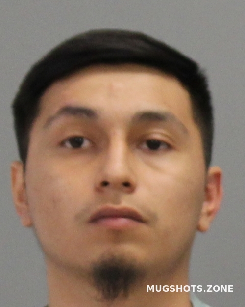 BARRIENTOS ALEXANDER 10/13/2024 - Brazos County Mugshots Zone