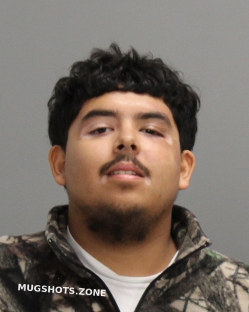 TORRES ANDREW EMMANUEL 10/19/2024 - Brazos County Mugshots Zone