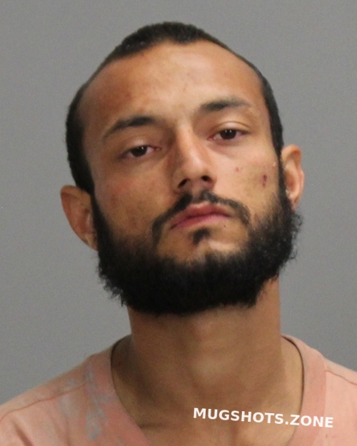 MORALES NICHOLAS ANDREW 10/31/2024 - Brazos County Mugshots Zone