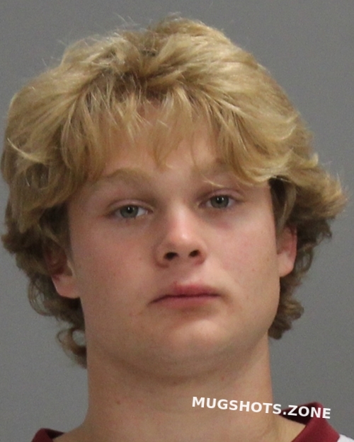 DOMINY AYDEN 11/01/2024 - Brazos County Mugshots Zone